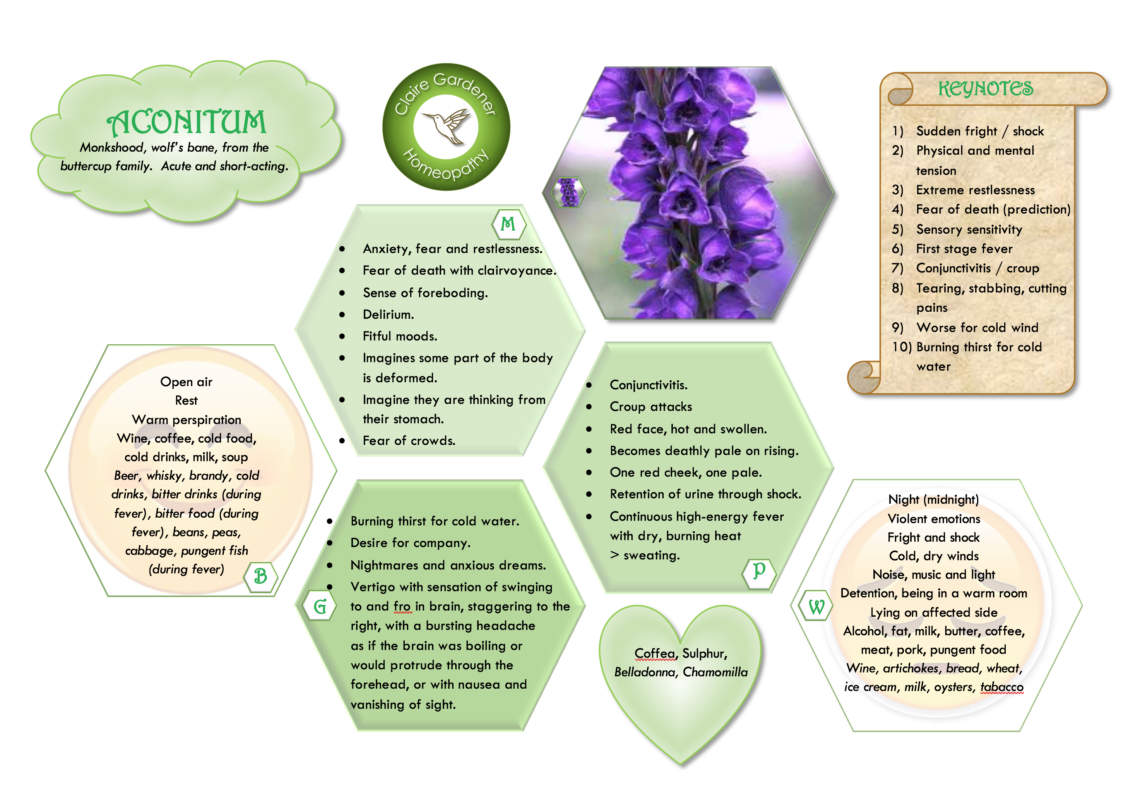 All About Aconite | Claire Gardener Homeopathy